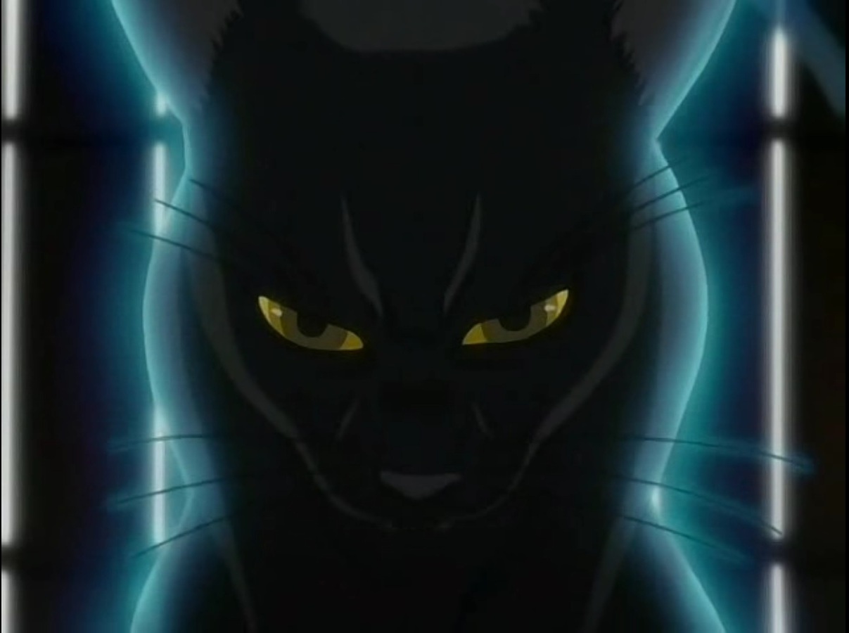 Anime Feet: Yoruichi (Bonus) w/ Spotlights