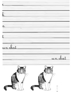 Maternelle: Avec le chat