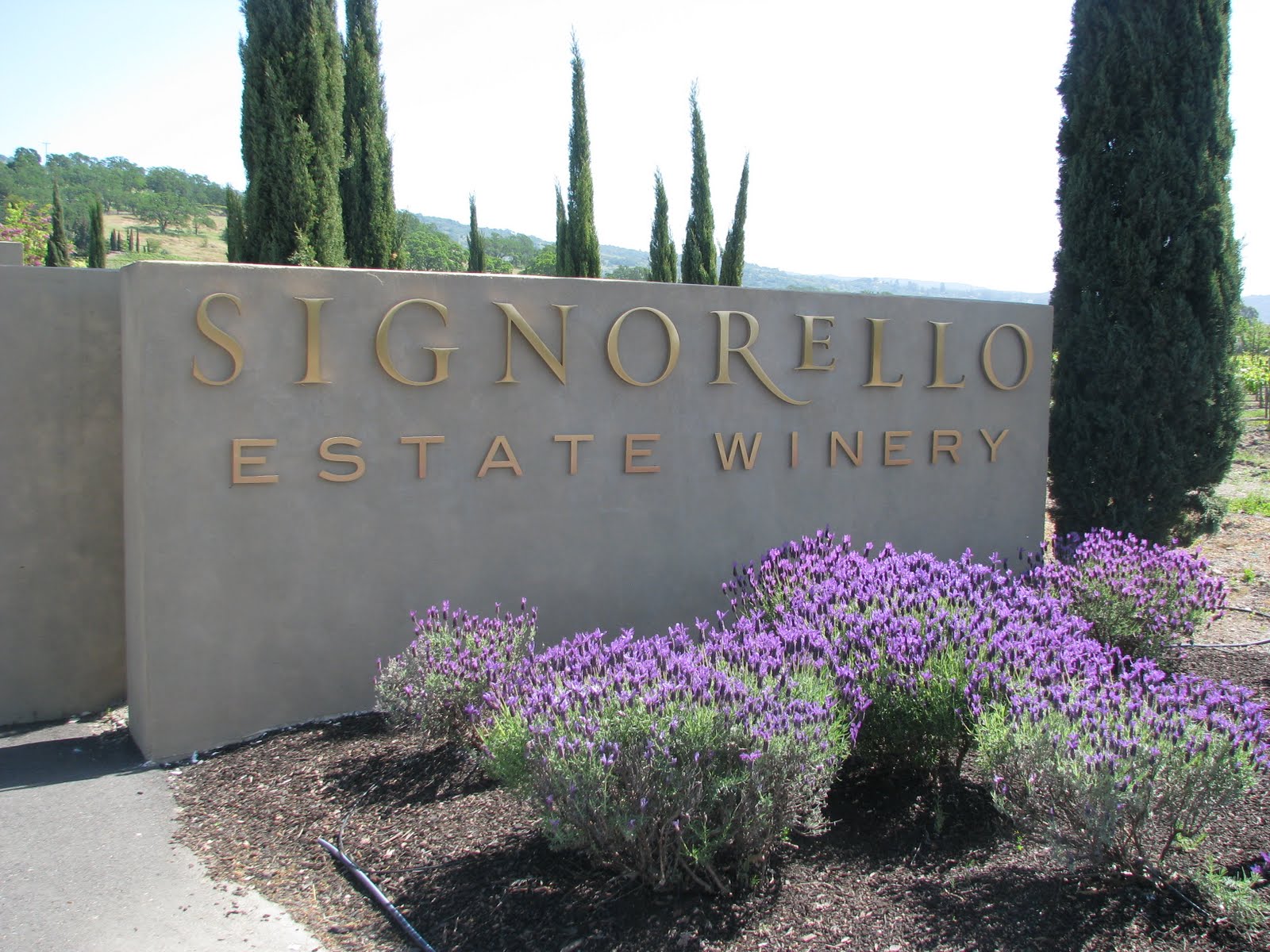 California Dreamin': Napa Valley 4/24/10: Signorello Winery