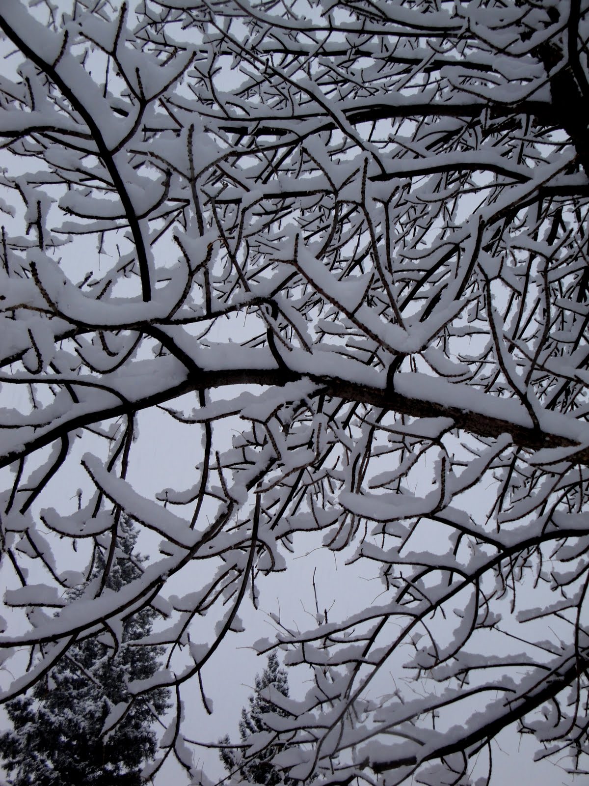 Through My Looking Glass: Snowed In, On, Over and Under (Yet is Still ...
