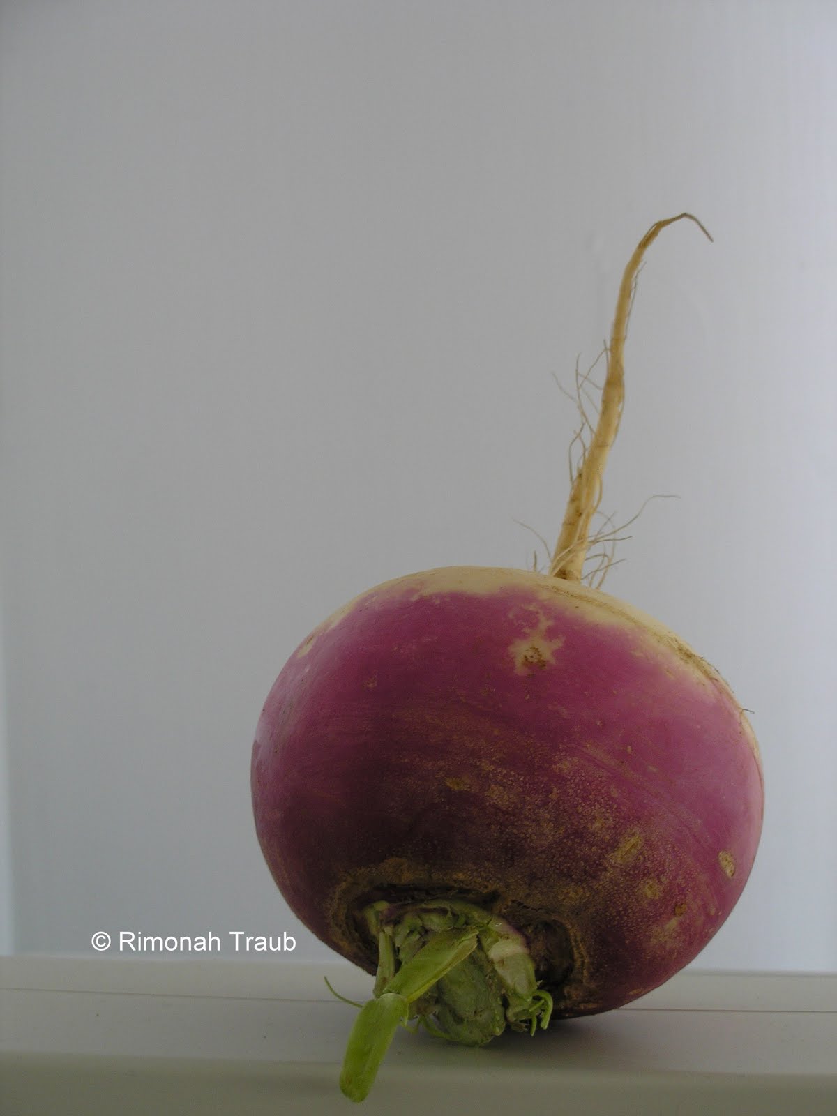 LENS ON A FERTILE LAND, ISRAEL - photography: Death of a Turnip