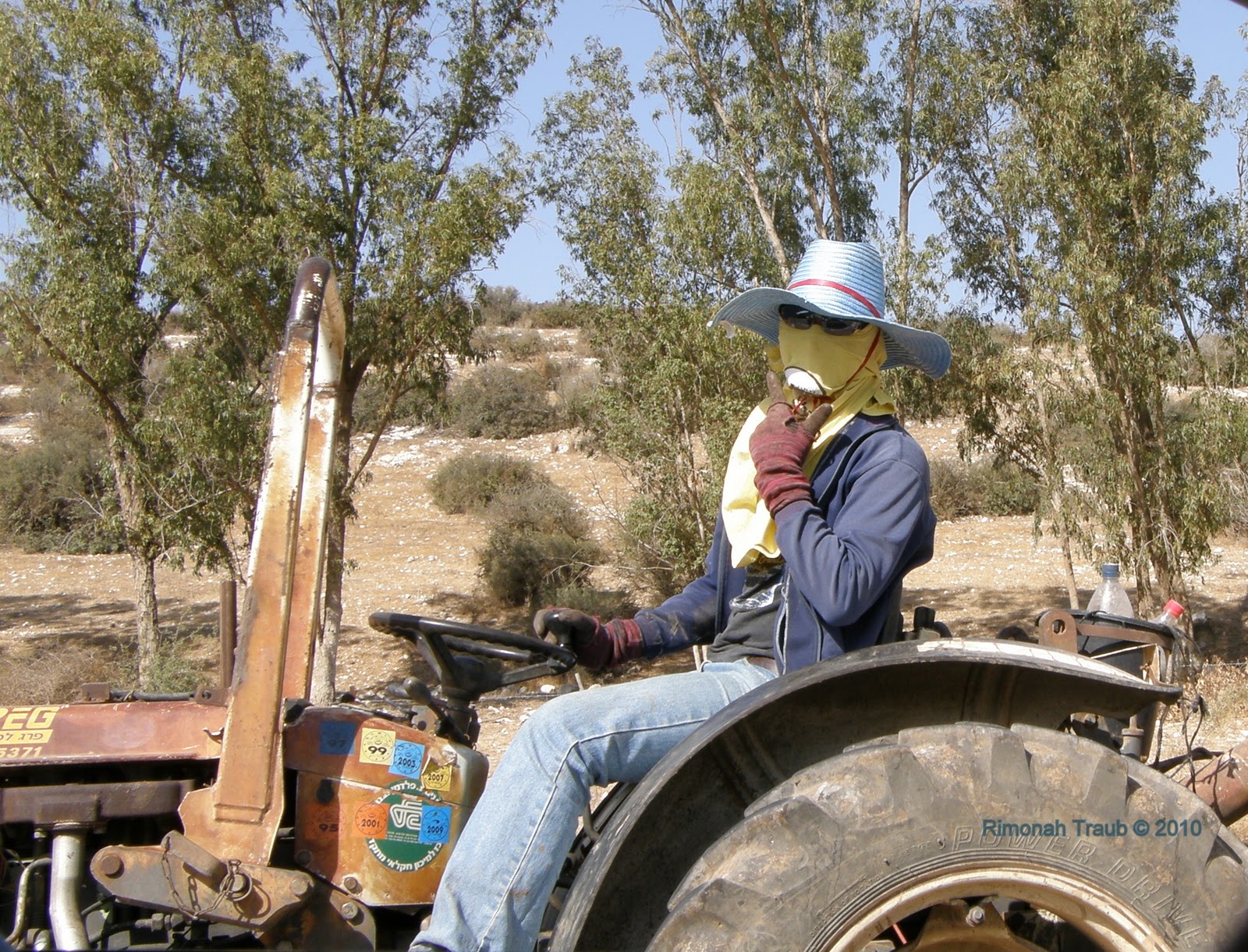 LENS ON A FERTILE LAND, ISRAEL - photography: Tel Lachish - Novemeber ...