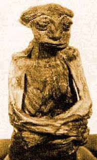 Moreaus Insel: Pedro Mountain Mumie