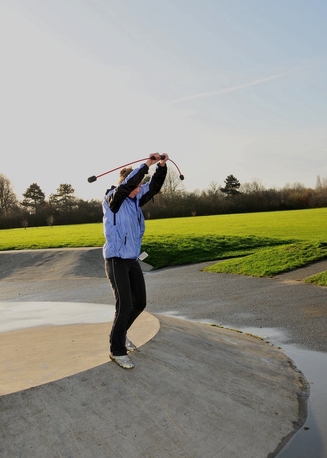Natural Health and Fitness Expert: Swing Stick Flexible Bar