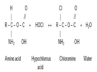ONLINE DENTISTRY: MECHANISM OF SODIUM HYPOCHLORITE