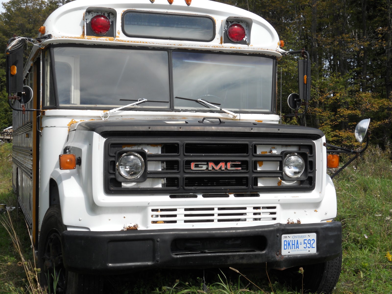 blue skoolie bird: raw bus material