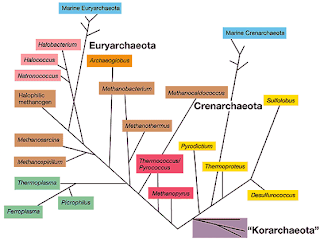 Dominio Archaea