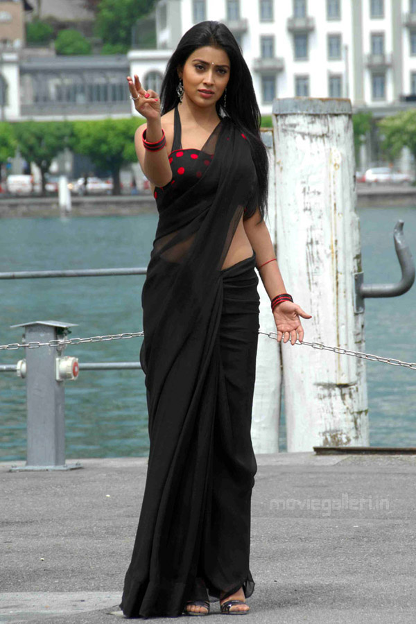 FILM ACTRESS HOT PICS: Shriya Saran Latest Navel Show In Black Saree