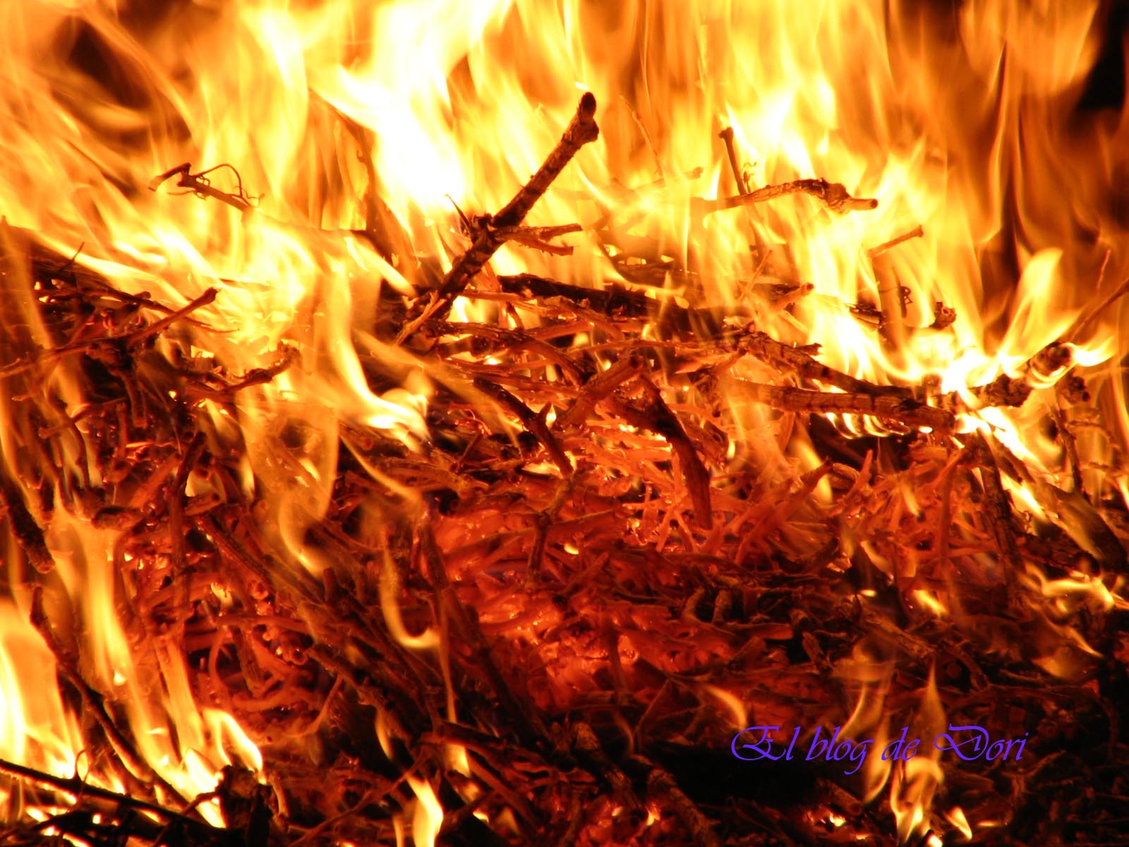 El blog de Dori: 1/04/10 - 1/05/10