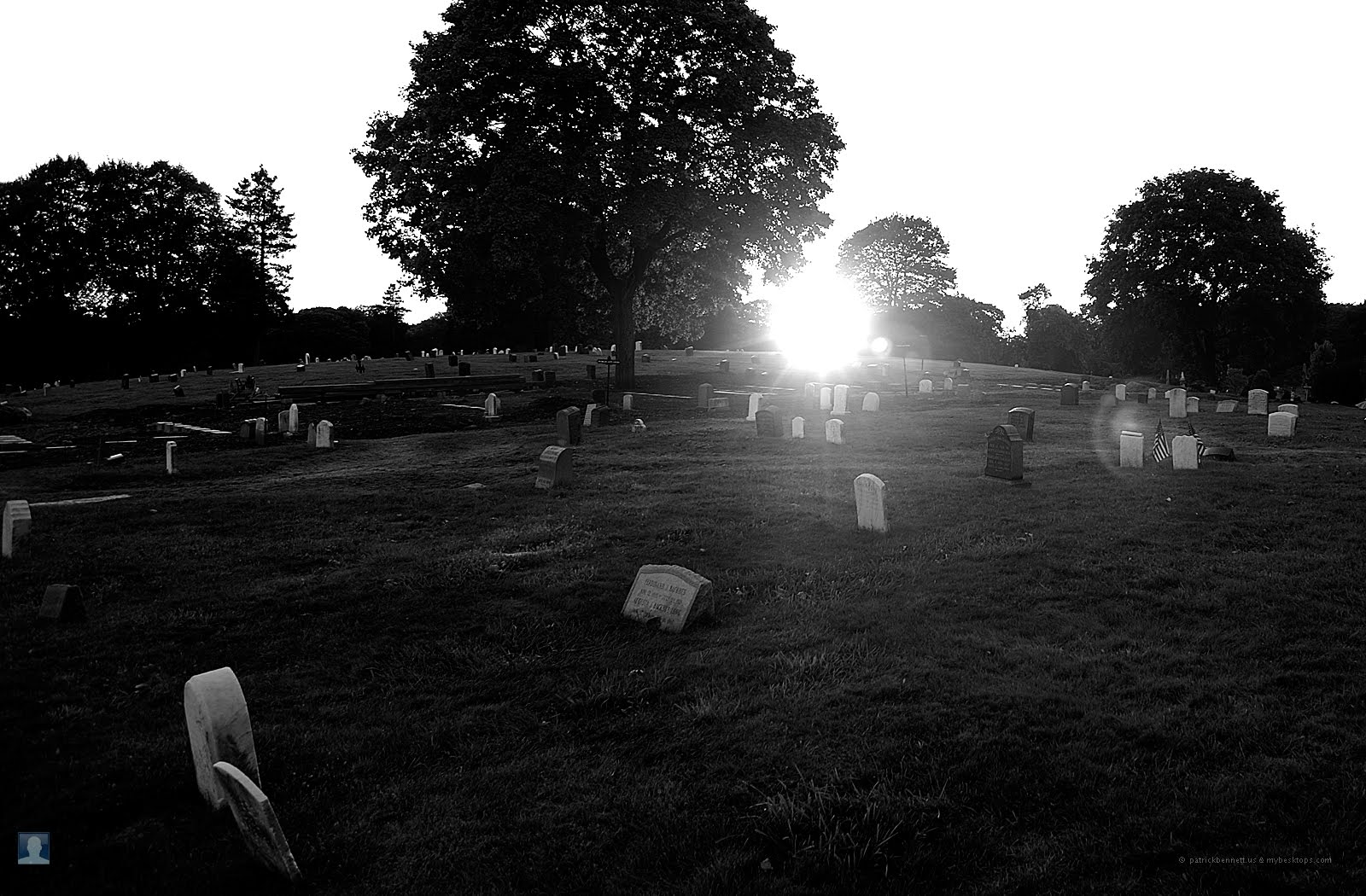 Green Screen Saver: Random Screen Savers