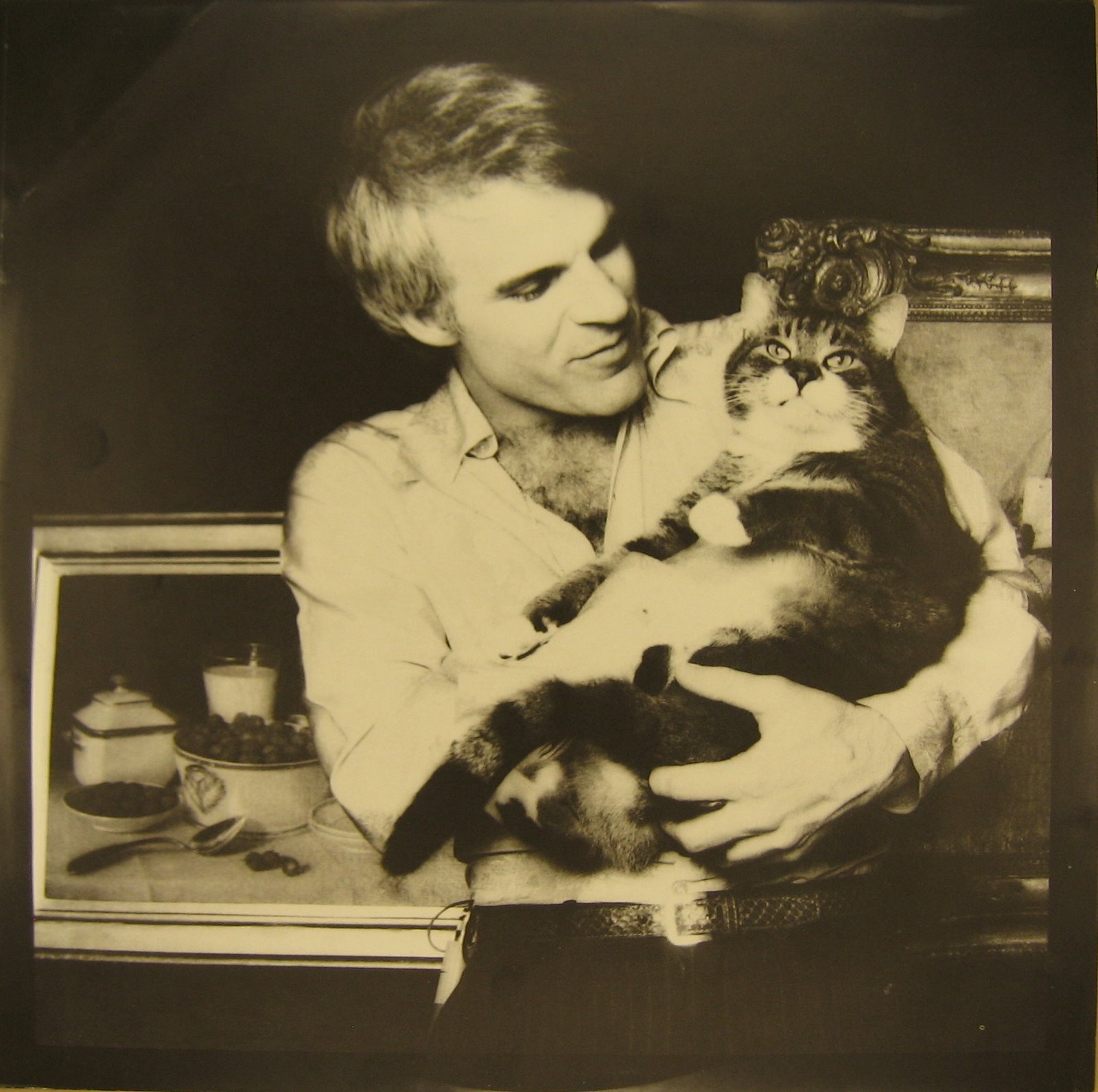 Audio Archive: Steve Martin - A Wild and Crazy Guy Warner HS3238