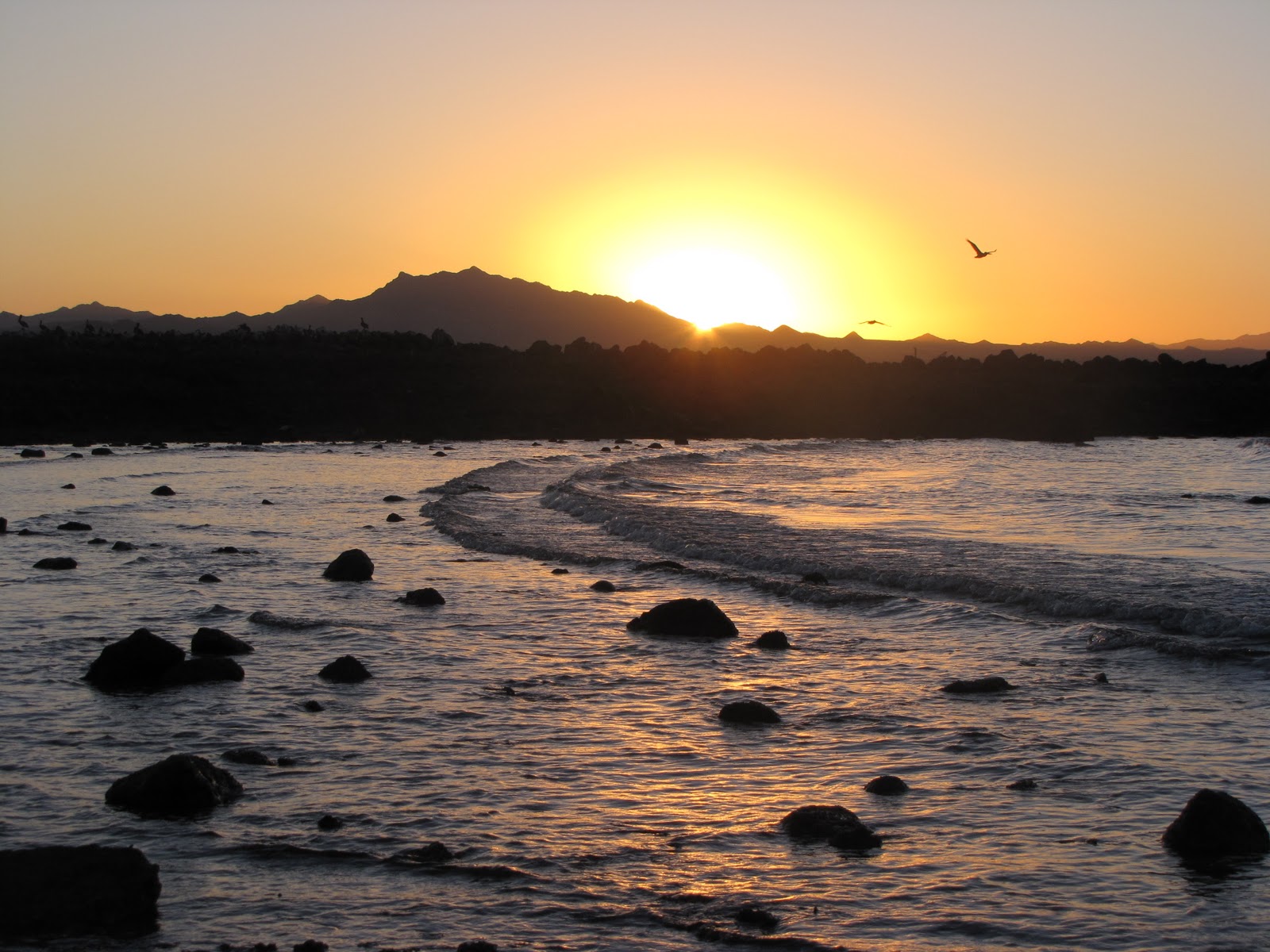 SONORADIGITAL: UN LUGAR PARA DISFRUTAR, PUERTO LOBOS MUNICIPIO DE CABORCA