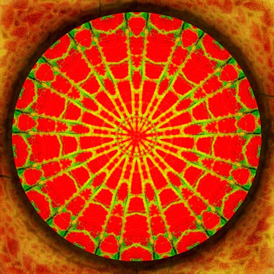 Sacred Circle Mandalas: AMANDLA! SHIELD MANDALA