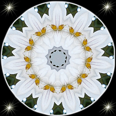 Sacred Circle Mandalas: AEDM #13 - Angels of Hope Mandala