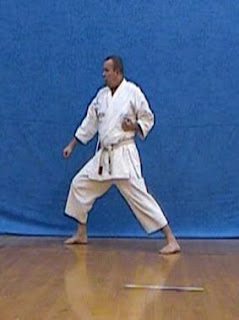 Learn Karate: Kihon Kata PDF