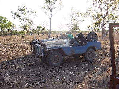 KristyJane: Todd Bull Catching............