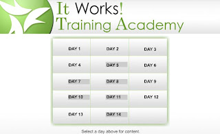 The It Works Way: Steps to SUCCESS!