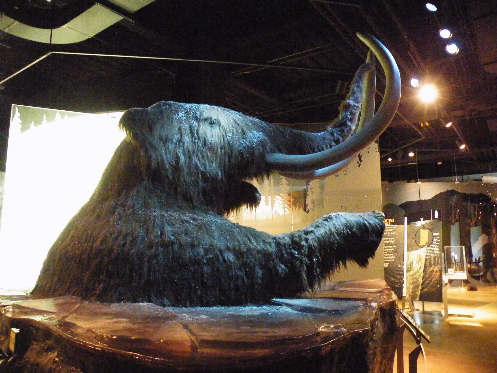 Kentucky Travels: Indiana State Museum Indianapolis