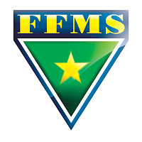 .: Tríade Comunicações :.: Modernização e Valorização da logo da FFMS