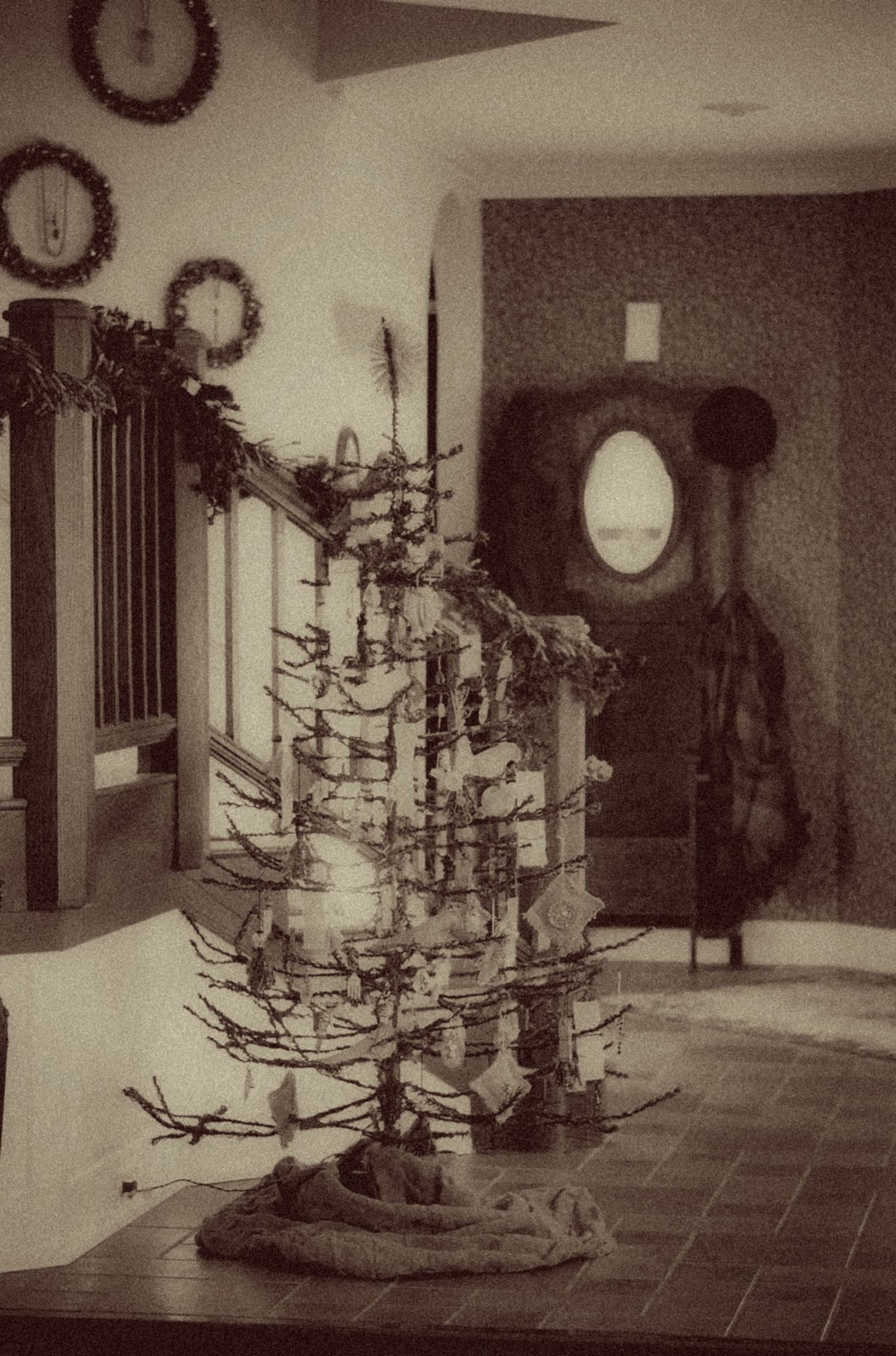 The Junk Tree - Jill Ruth & Co.