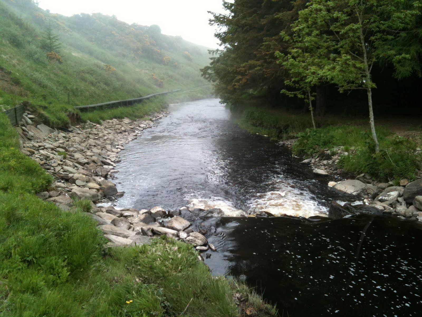 Speycasting: The River Forss Caithness Scotland