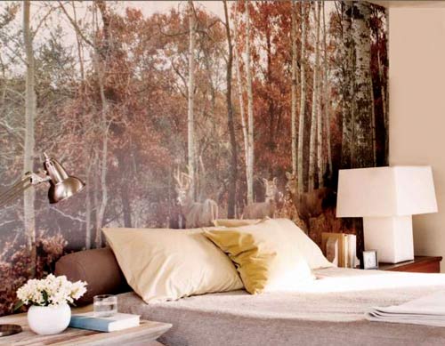 Jacquie Severs: Instant View Wall Murals