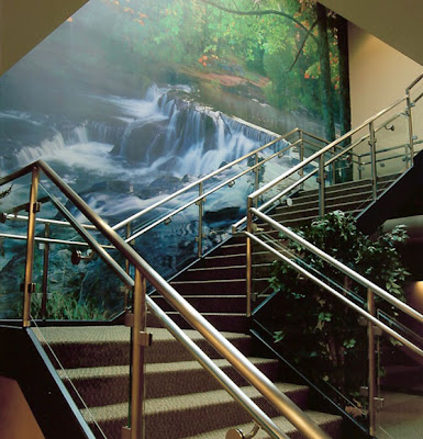 Jacquie Severs: Instant View Wall Murals