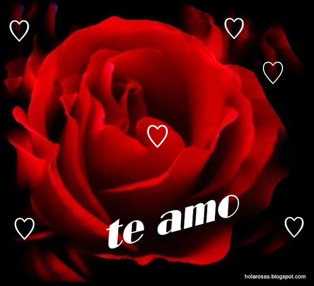 Imagenes De Amor: Imagenes de amor, fotos de rosas rojas para el Dia de ...