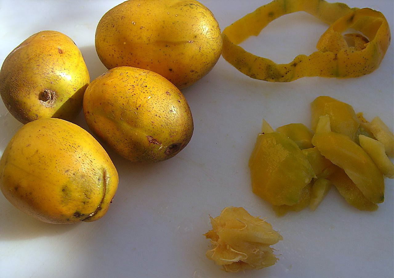 come-se: Taperebá da Ilha do Marajó virou sorvete