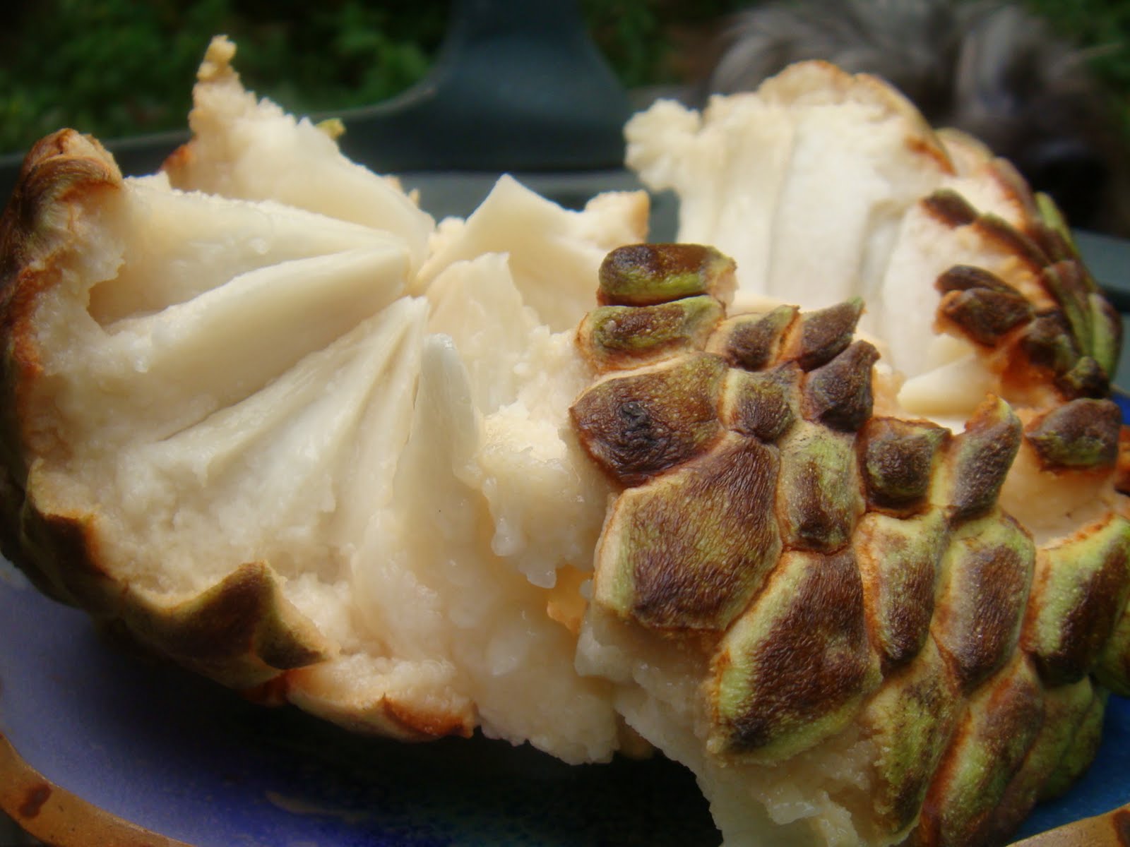 come-se: Uma atemoia comida