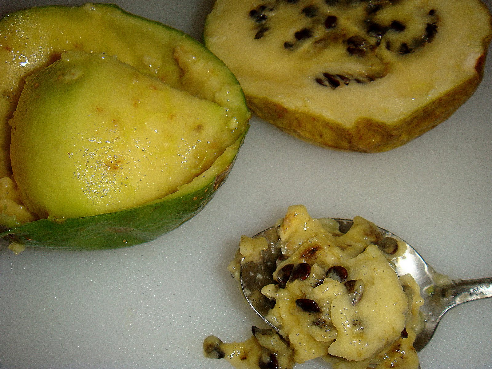 come-se: Fruta-de-lobo ou lobeira. Resposta à charada do post anterior