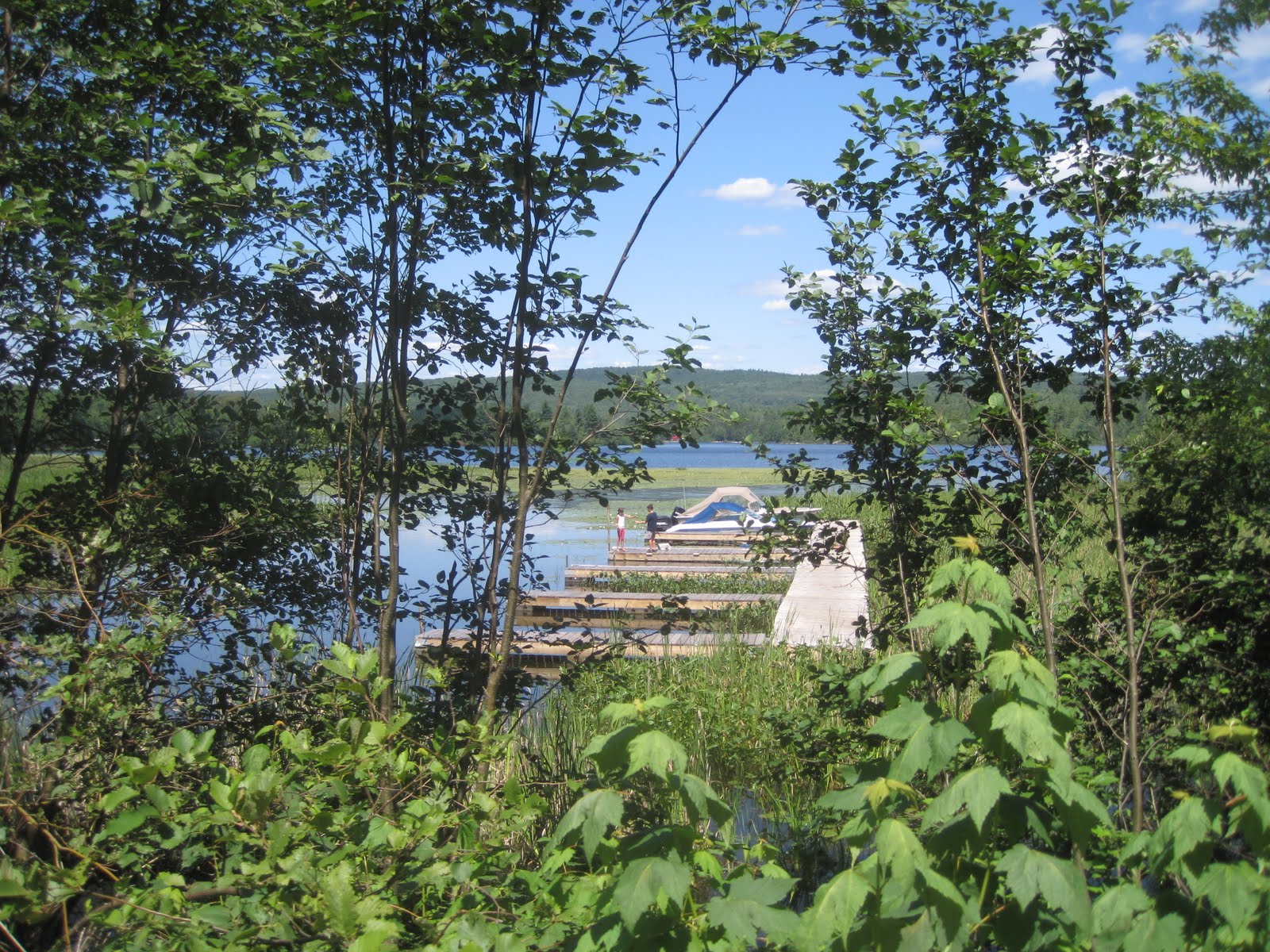 The Roadrunner Chronicles: Holiday Weekend at Talon Lake