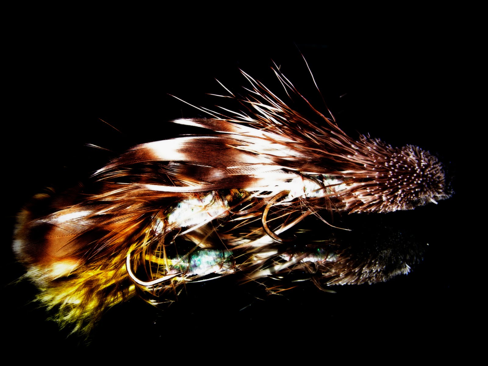 EpicFly: Arkansas River Brown Trout Bugs. Most are variations on Kelly ...
