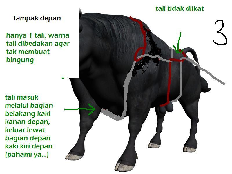 ahlan !!!: yuk.....belajar njagal....hehe