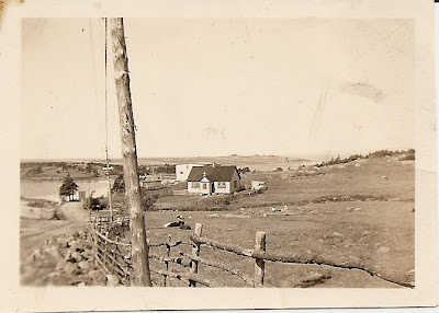 The Placentia Area Blog: Point Verde School