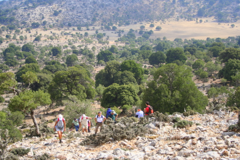 ΟΡΕΙΒΑΤΙΚΟΣ ΣΥΛΛΟΓΟΣ ΑΓΙΟΥ ΝΙΚΟΛΑΟΥ (1ος κύκλος): ΑΦΕΝΤΗΣ ΧΡΙΣΤΟΣ-ΨΑΡΗ ...