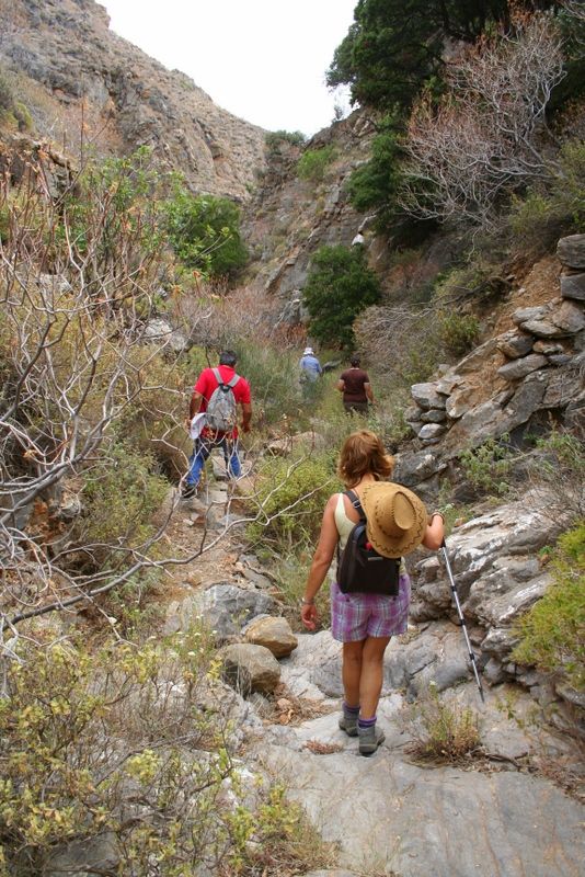 ΟΡΕΙΒΑΤΙΚΟΣ ΣΥΛΛΟΓΟΣ ΑΓΙΟΥ ΝΙΚΟΛΑΟΥ (1ος κύκλος): ΦΑΡΑΓΓΙ ΣΚΟΤΕΙΝΗΣ ...