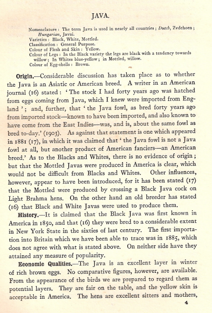 Java breeders: Black Javas