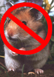I am Jon Wheat: Say No To Hamsters