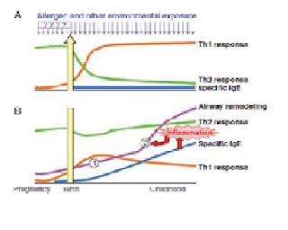 Inflammablog4: Early Developmental Origins of Disease