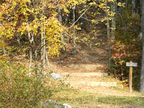SWAC Girl: Picnic at Braley Pond in George Washington National Forest