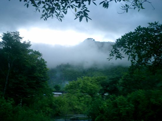 esb320geografia2: Biomas de selva