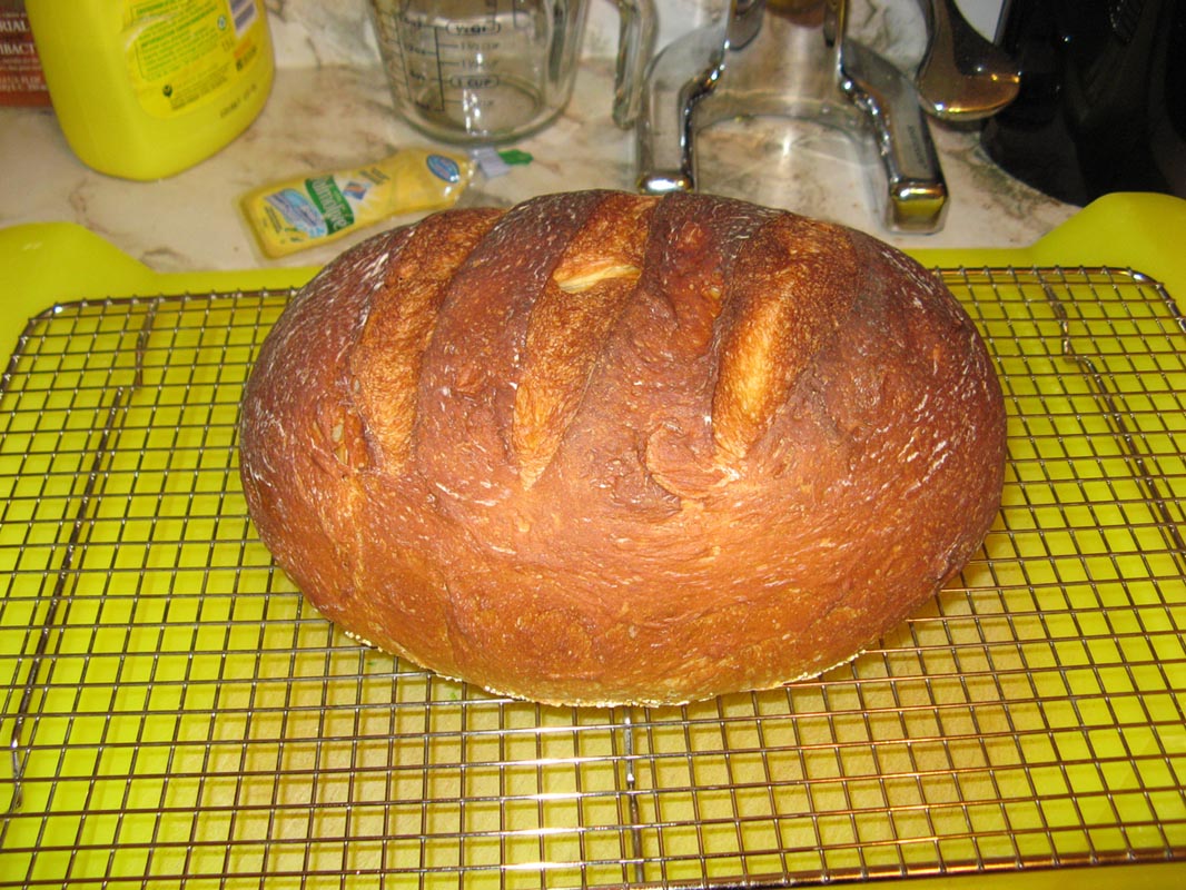 Savage Food: Day 65: Basic Bread...