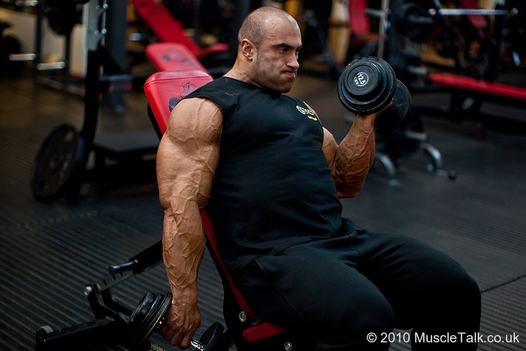 Daz Ball: The Big Show