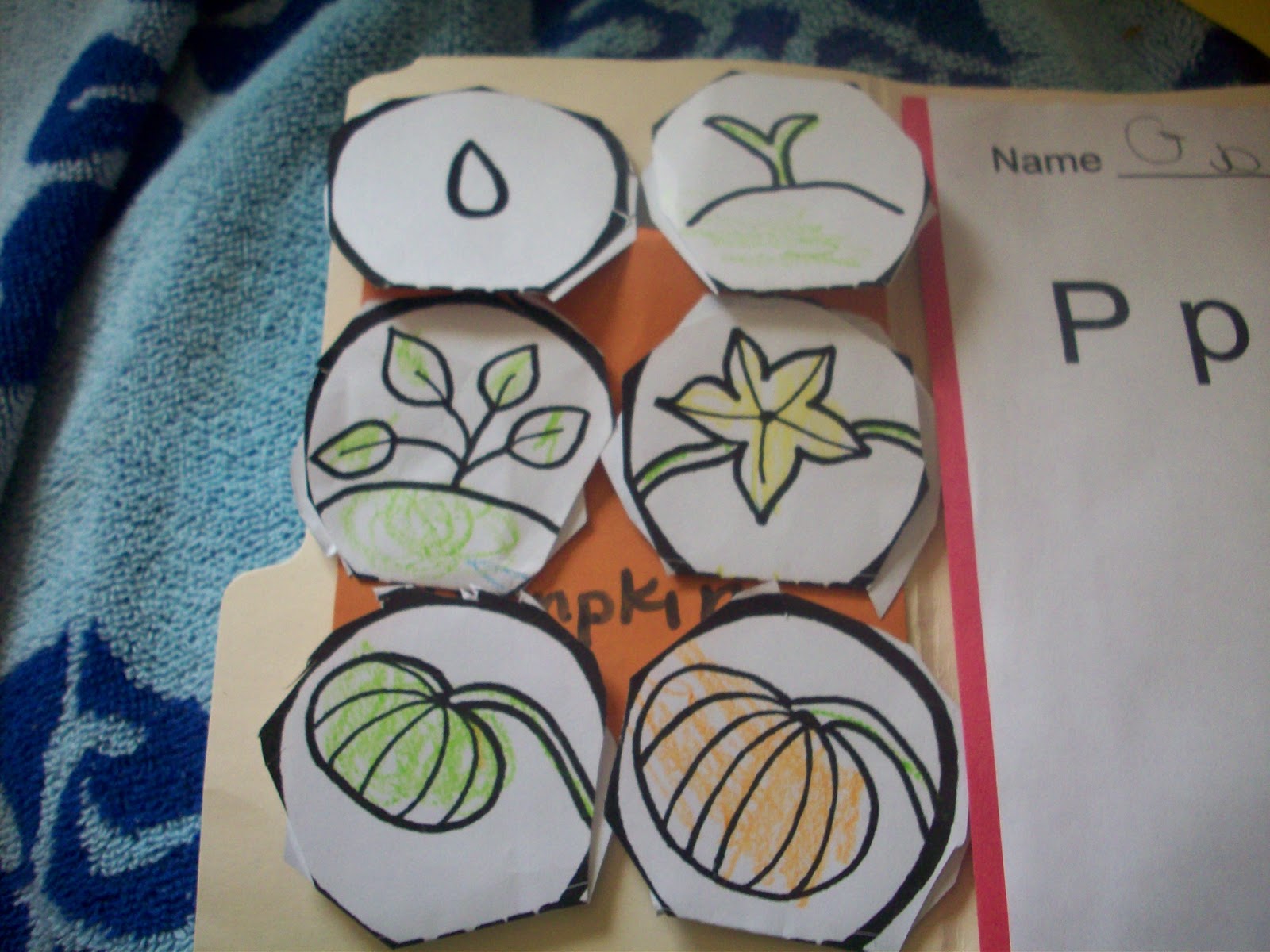 Adventum Academy: Pumpkin Lapbook