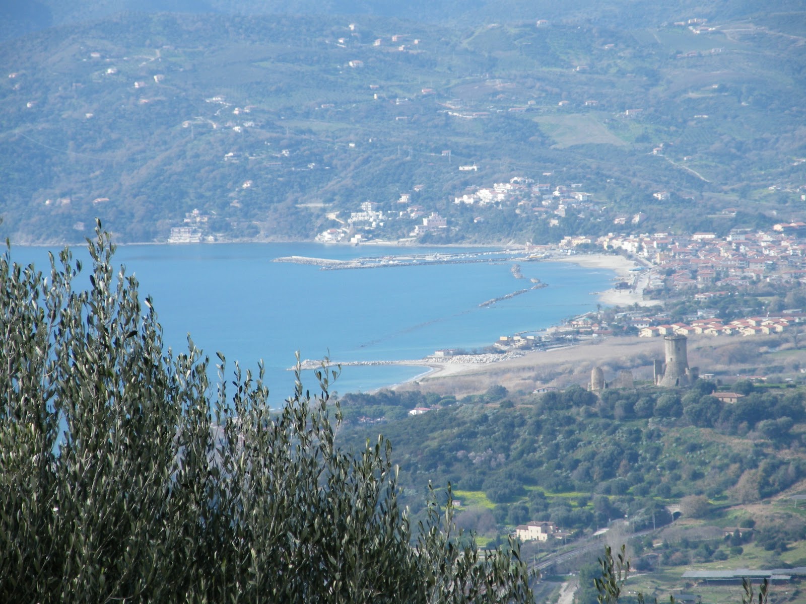 Wassard Elea: About Ascea