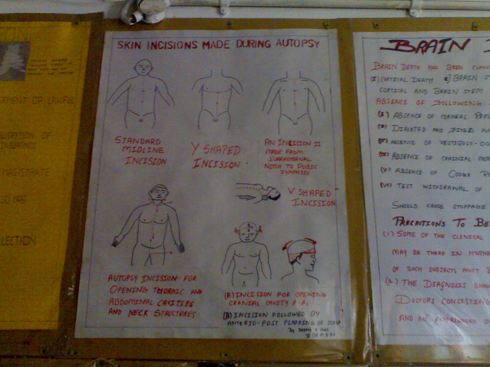 passion for almost evrythin