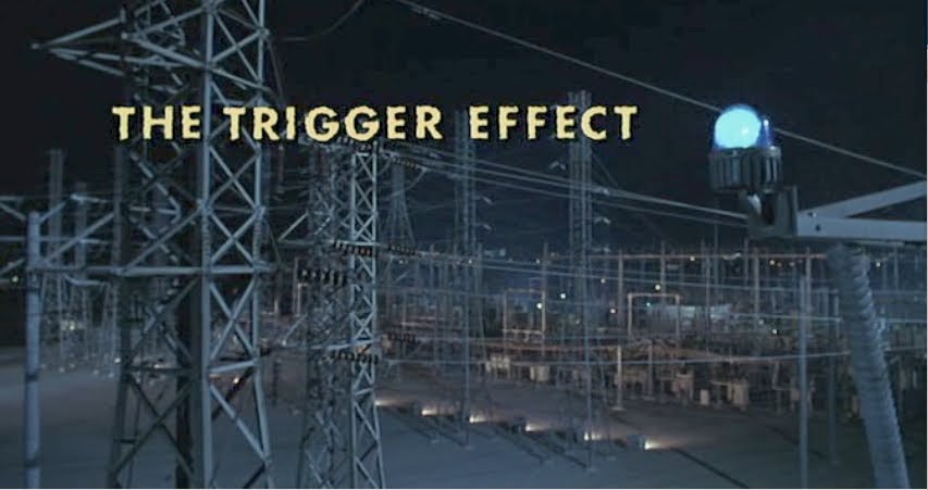 A Wink And A Nudge The Trigger Effect 1996