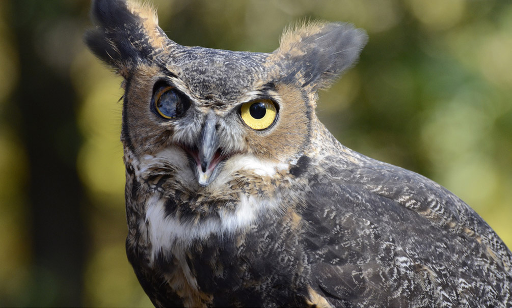 Advanced Digital Cameras | Digital SLR Camera | Best Digital Cameras UK