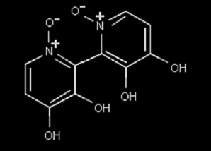 Drugs and Poisons: Orellanine - How normal-looking mushrooms can be way ...